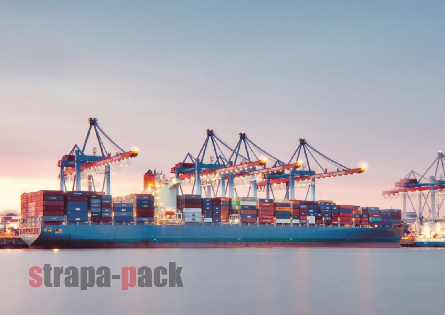 Kontrolle der Beladung von Containern | Strapa-pack GmbH.